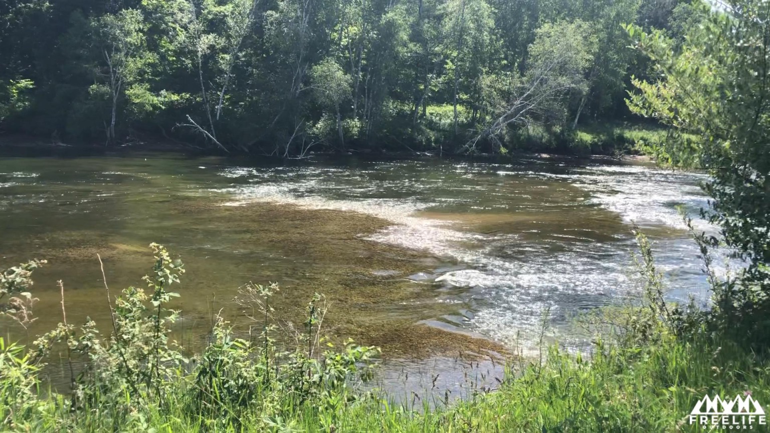 Into the Heart of Michigan: Hiking the Manistee River Trail & North ...